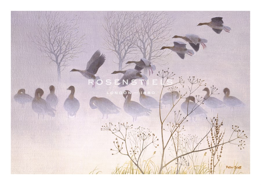 Sir Peter Scott Hand Numbered Limited Edition Print on Paper :"Barn Elms - Pink Feet" - Sir ...