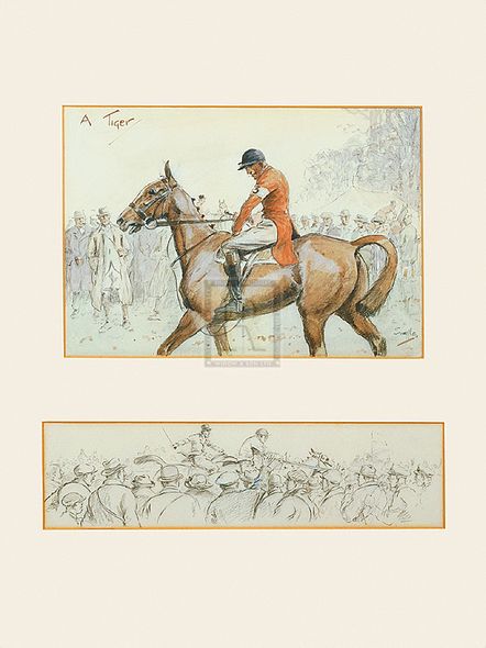 Snaffles Hand Numbered Limited Edition Print on Paper :"A Tiger" - Snaffles