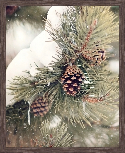 Somerset House 32X26 FRAMED 3 D CANVAS:"RUSTIC PINECONES I" - Somerset ...