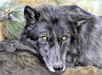 Sue Masden Giclee Print on Paper: "Kanawha" - Sue Masden