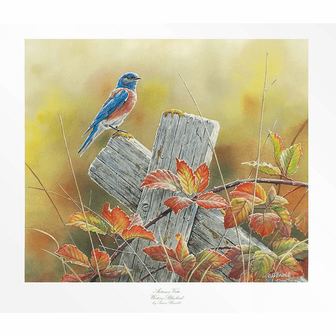 Susan Bourdet Artist Signed Limited Edition:"Autumn Vista - Western ...