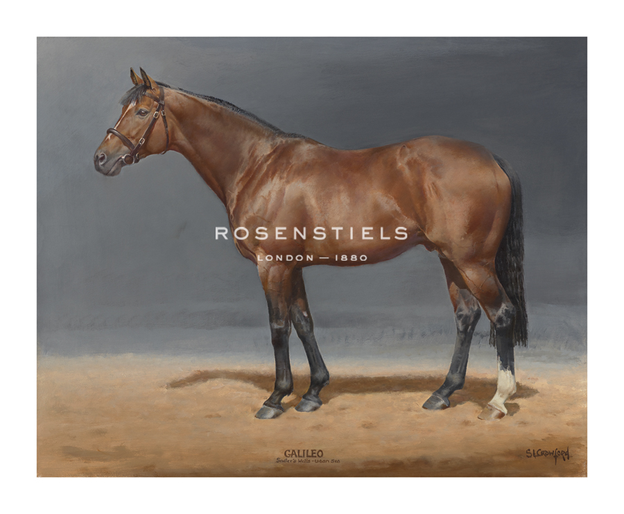 Susan Crawford Hand Numbered Limited Edition Print on Paper :"Galileo ...