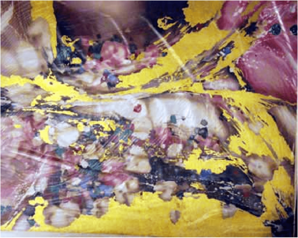 Suzanne Marie Artist Signed Limited Edition Serigraph on paper:"Golden ...