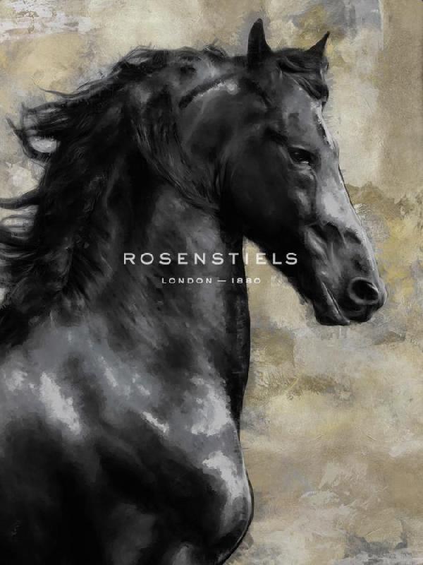 Tania Bello 30 x 40 in. Open Giclee Canvas:"Bucephalus" - Tania Bello