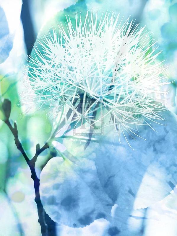 Tania Bello 30 x 40 in. Open Giclee Canvas:"Dalvik" - Tania Bello