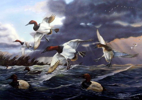 Terry Doughty Artist Proof:"Canvasback Memories" - Terry Doughty