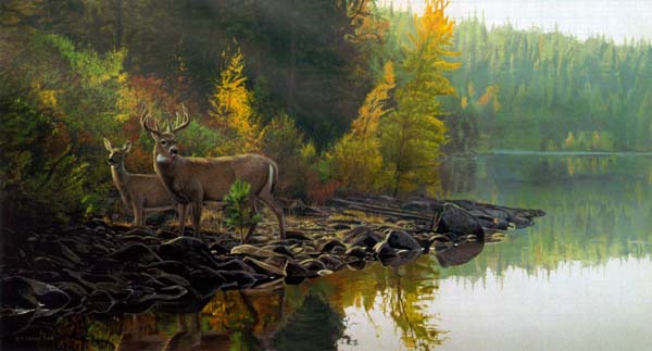 Terry Isaac Limited Edition Print:"Autumn Gold " - Terry Isaac