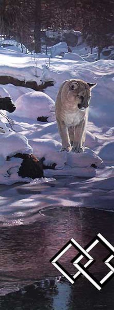 Terry Isaac Limited Edition Print:"Snow Shadows Cougar" - Terry Isaac