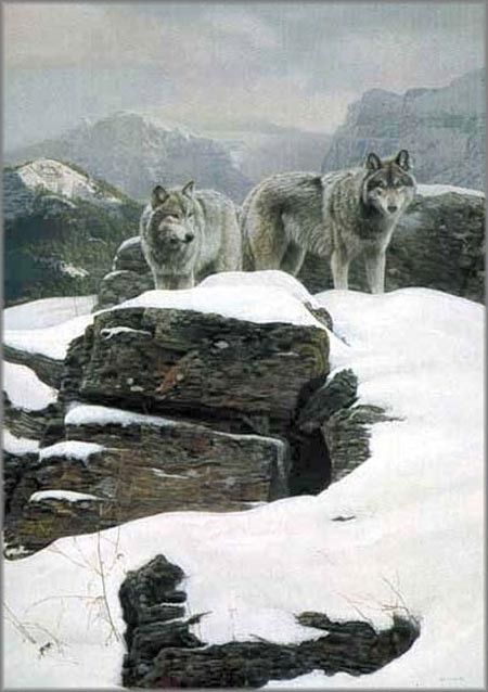 Terry Isaac Limited Edition Print:"Summit" - Terry Isaac