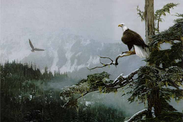 Terry Isaac Limited Edition Print: "On Eagles Wings" - Terry Isaac