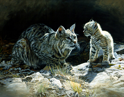 Terry Isaac Limited Edition Print:"The Lesson-Bobcat" - Terry Isaac