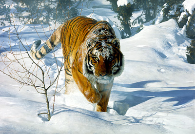 Terry Isaac Limited Edition Print:"Tyger! Tyger!" - Terry Isaac