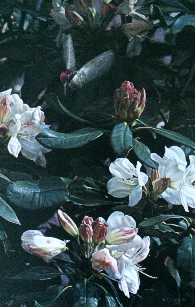 Terry Isaac Signed by the Artist Limited Edition Paper Lithograph ...