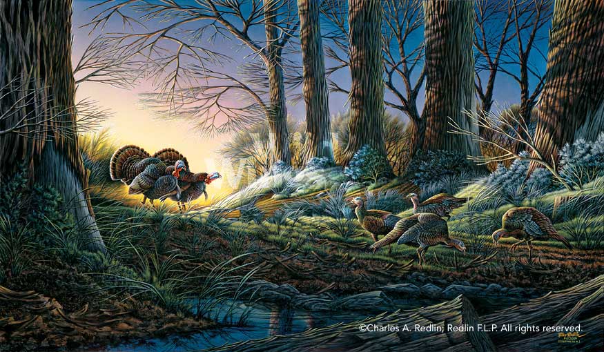 Terry Redlin Artist Proof Print: "Strutting On In-Turkeys" - Terry ...