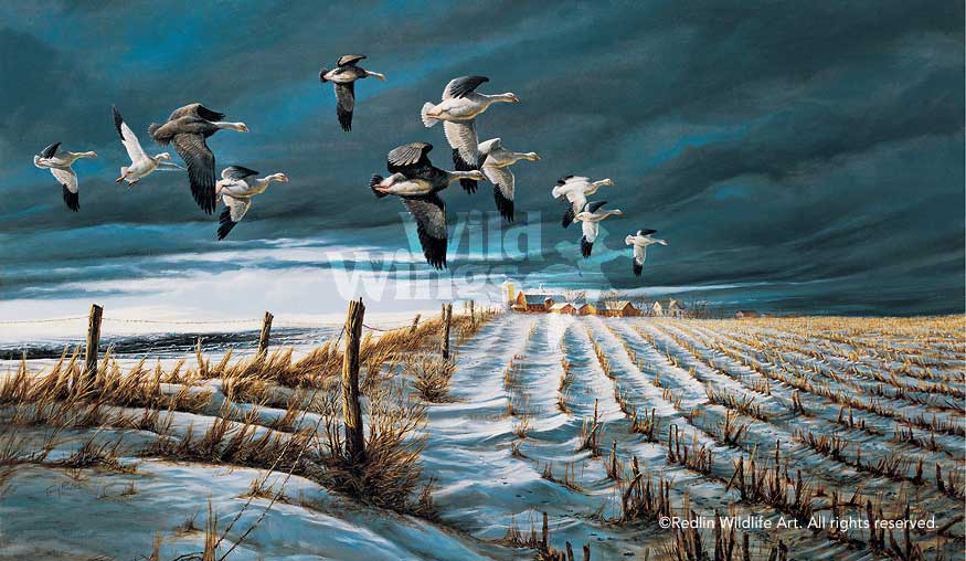 Terry Redlin Artist Proof Print: "Winter Snows" - Terry Redlin Artist ...