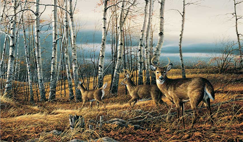 Terry Redlin Fine Art Open Edition Canvas Lithograph:"The Birch Line ...