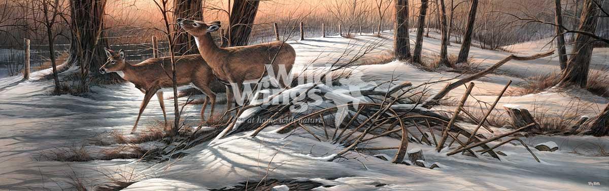 Terry Redlin Horizon Open Edition Print: "Browsing - Whitetail Deer ...