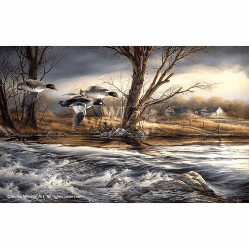 Terry Redlin Museum Edition Oversize Canvas:"Rushing Rapids ...