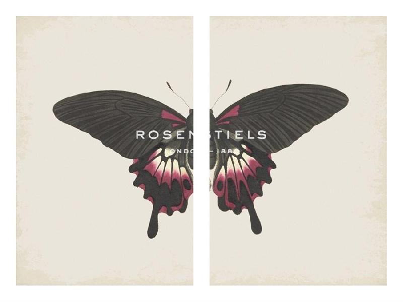 The Drammis Collection 40 x 30 in. Open Giclee Canvas:"Papilio ...