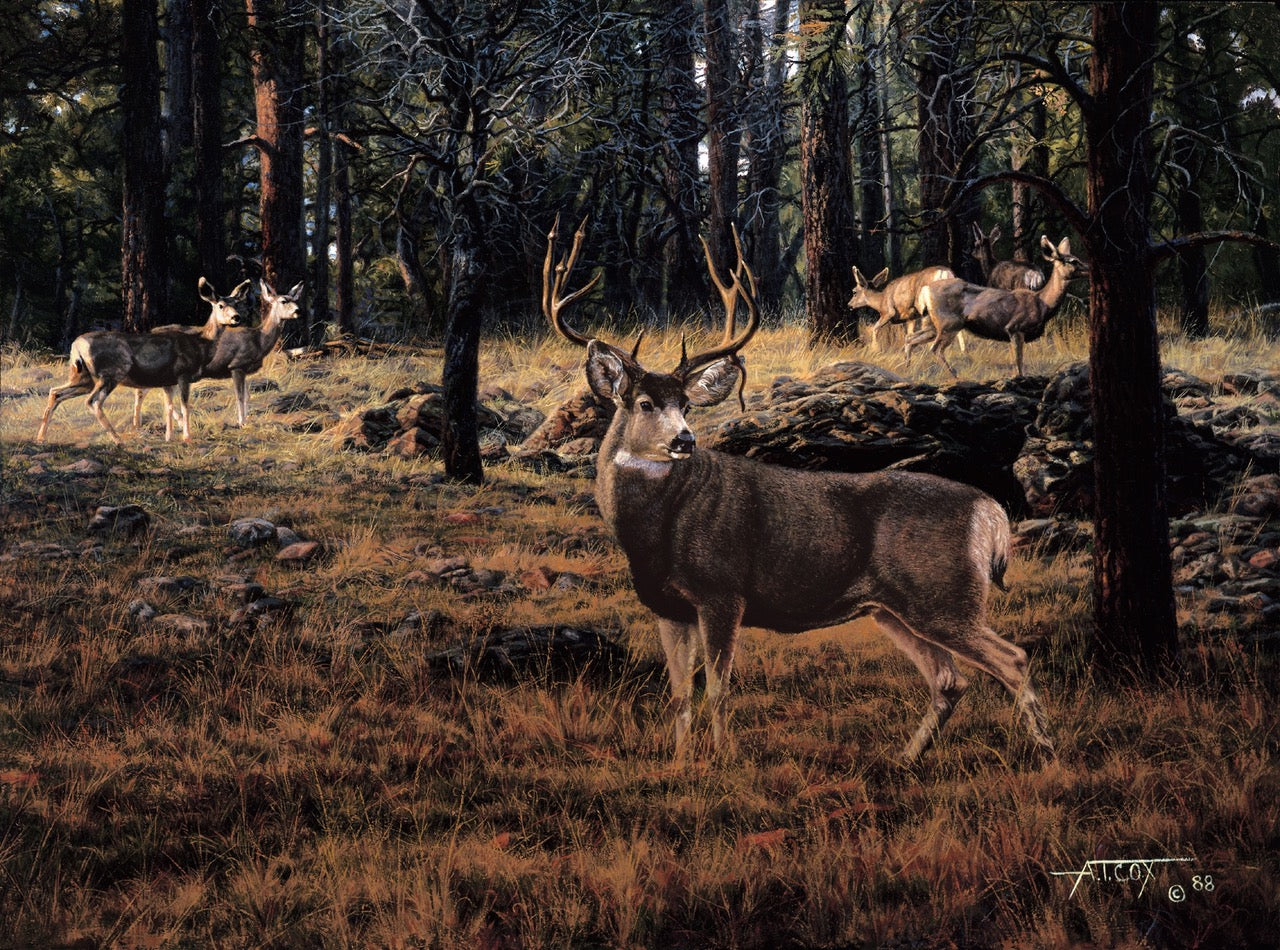 Tim Cox Artist Signed SuperSized Limited Edition Canvas Giclee:"Blue ...