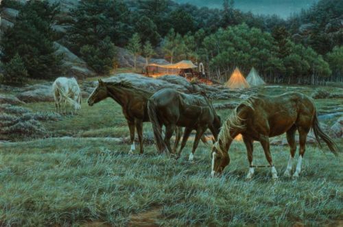 Tim Cox Artist Signed Limted Edition Print:"Night Breezes" - Tim Cox