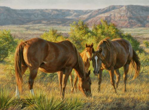 Tim Cox Artist Hand Signed Limted Edition Canvas:"Who Dat?" - Tim Cox