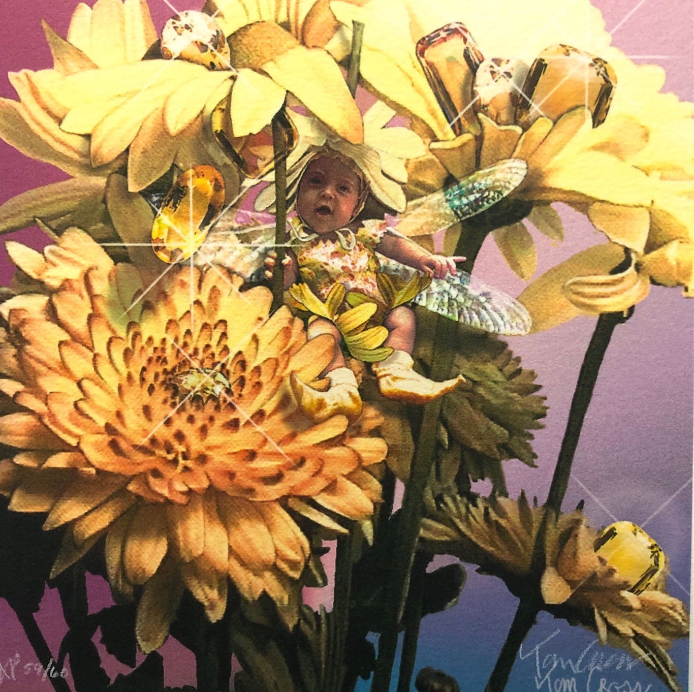 Tom Cross Signed by the Artist Limited Edition Paper Giclee:"November ...