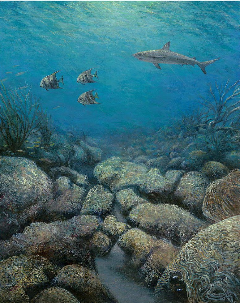 Tripp Harrison Handsigned and Numbered Limited Edition Giclee on Canvas ...