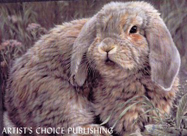 VIVI CRANDALL 17X13 Secondary Market Art: "FUZZ BALL RABBIT" - CRANDALL ...