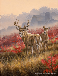 Gallery Direct Art | Fine Art | Prints | Canvas | Artists