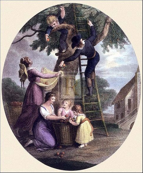 William Hamilton Artist Hand Colored Copper Plate Printed Atelier Print ...
