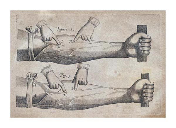 William Harvey Fine Art Open Edition Giclée:"Discovery of the ...