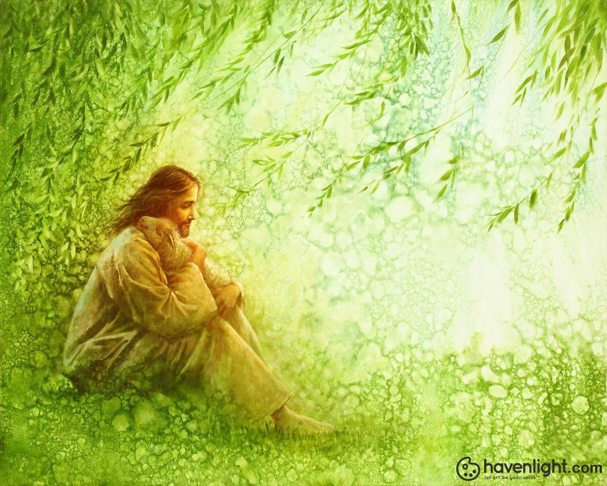 Yongsung Kim Fine Art Canvas Giclee: "The Good Shepherd" - Yongsung Kim