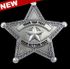Custom 5-Point Silver Star Badge