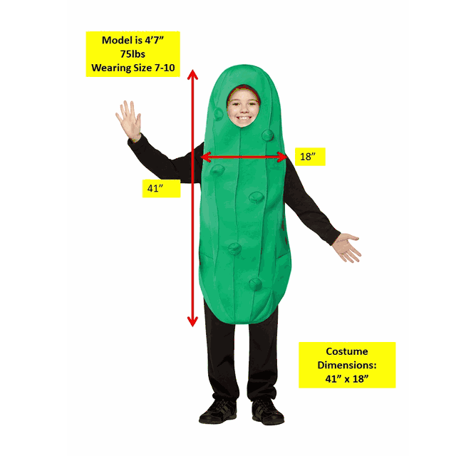 Pickle Costume