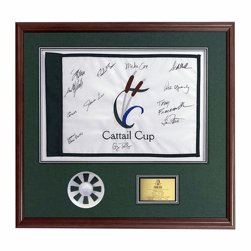 Framed Hole In One Pin Flag Shadow Box