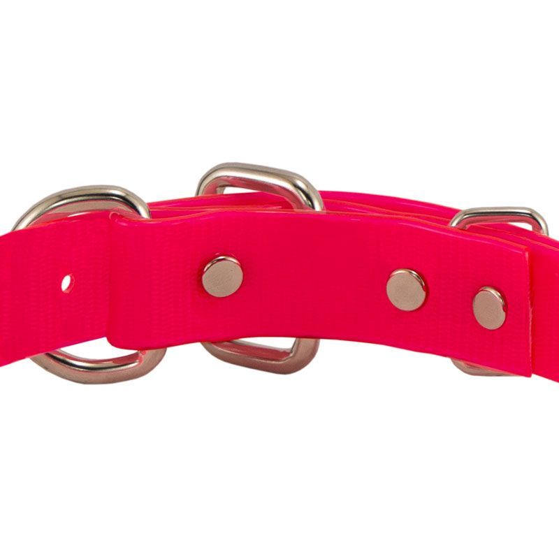 PINK 1 in. Day Glow D-End Collar. $6.99.