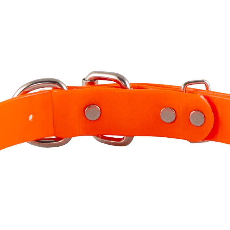 MOPIX - 1 in. SunGlo D-End Collar Back of Buckle Detail.