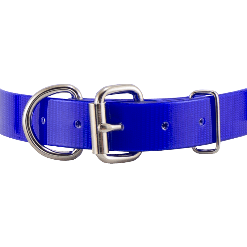 MOPIX - 1 in. SunGlo D-End Collar Front of Buckle Detail.
