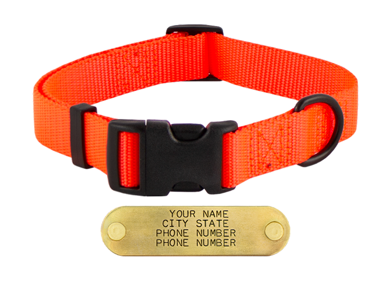 ORANGE LONG 1 in. QUICK DAWG Nylon Quick Release Collar | Gun Dog Supply