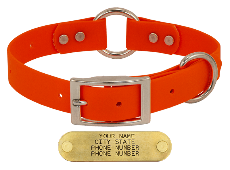1 in. Orange Granite O-Ring Dog Collar -- Stainless Steel Hardware ...