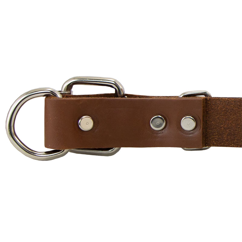 MOPIX - 1in. Leather Dee-End Collar Inside Buckle Detail.