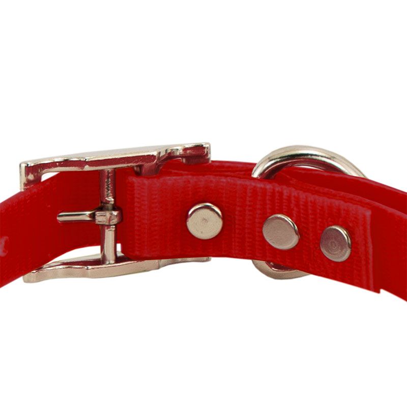 RED 3/4 in. SunGlo Standard Collar. $5.99.