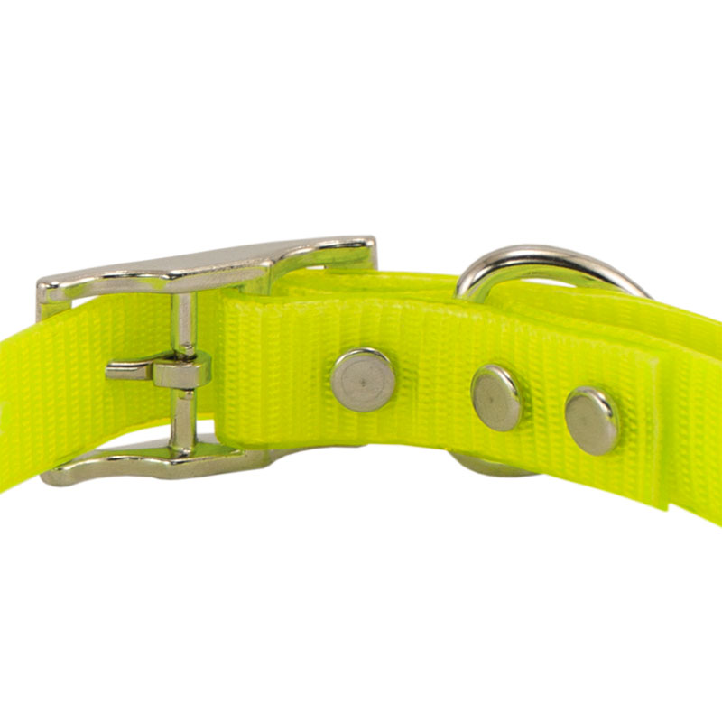 YELLOW 3/4 in. SunGlo Standard Collar | Gun Dog Supply