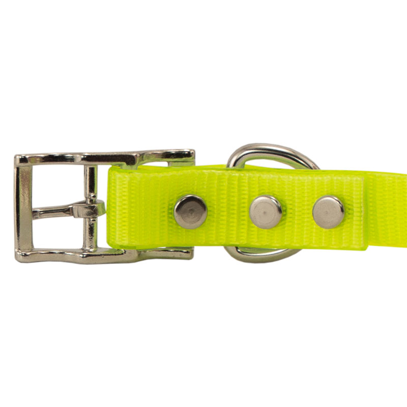 YELLOW 3/4 in. SunGlo Standard Collar | Gun Dog Supply