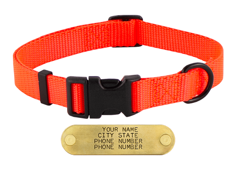 ORANGE LONG 3/4 in. QUICK DAWG Nylon Quick Release Collar | Gun Dog Supply