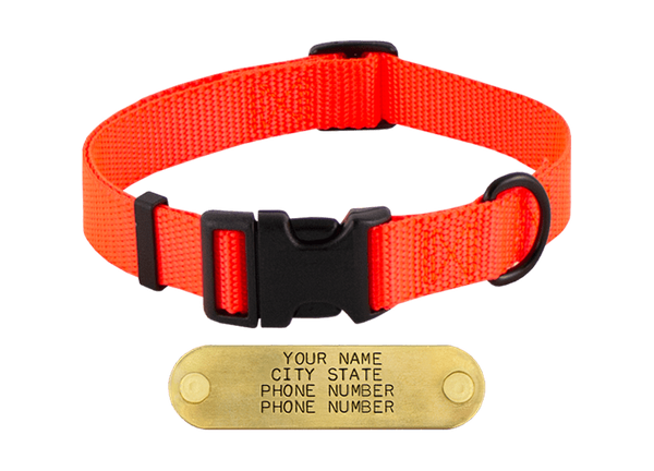 ORANGE SHORT 3/4 in. QUICK DAWG Nylon Quick Release Collar | Gun Dog Supply
