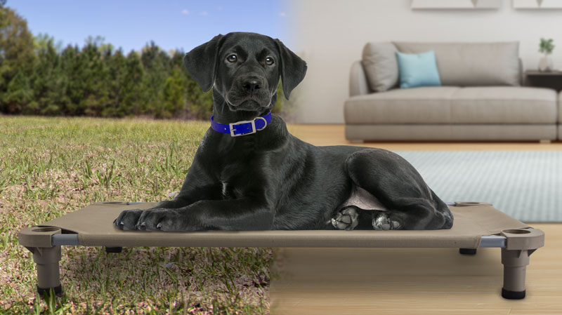 4Legs4Pets Premium Weave Dog Cots | Gun Dog Supply