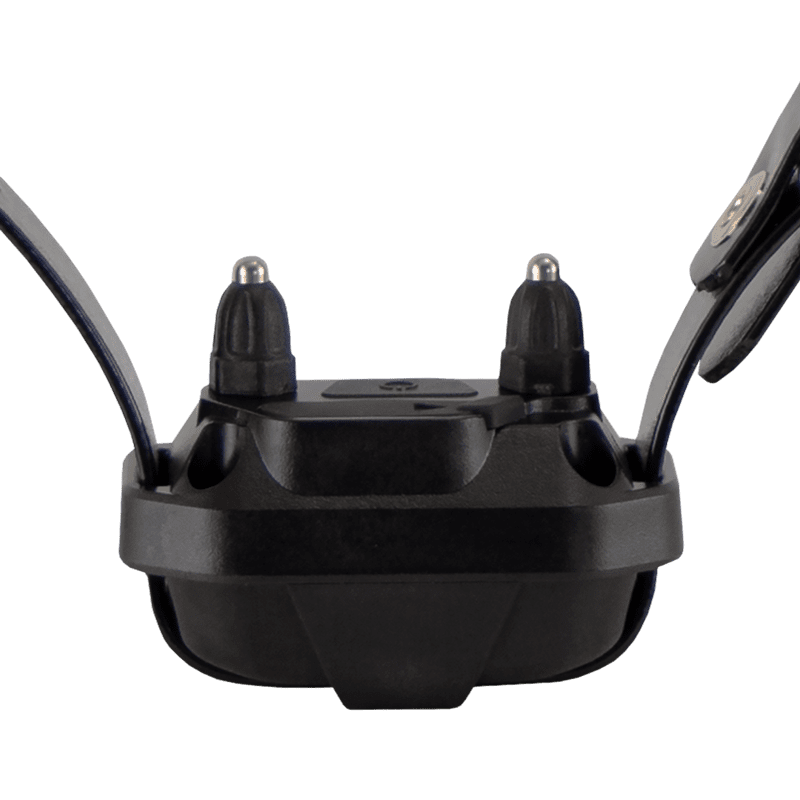 MOPIX - Additional Collar Back Detail.