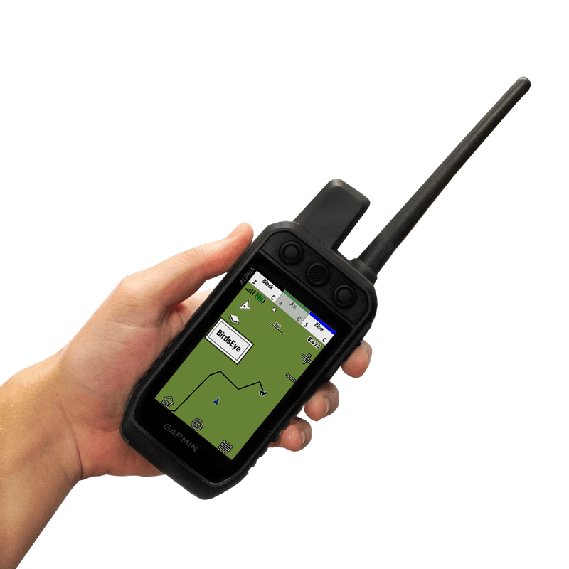 Garmin ALPHA 300 + TT25 GPS Dog Tracking E-Collar Combo | Gun Dog Supply